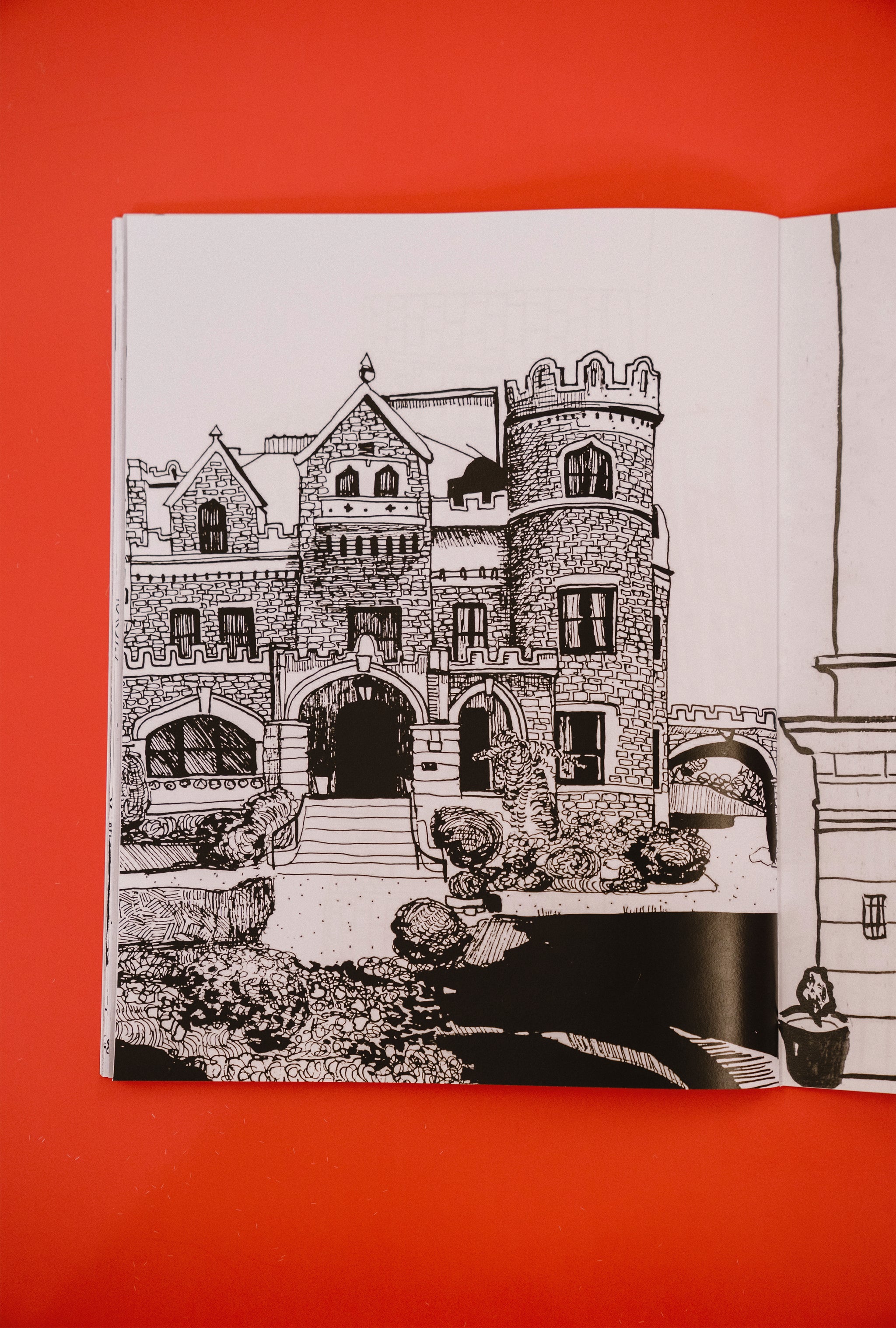Julia M Illustrates Coloring Book